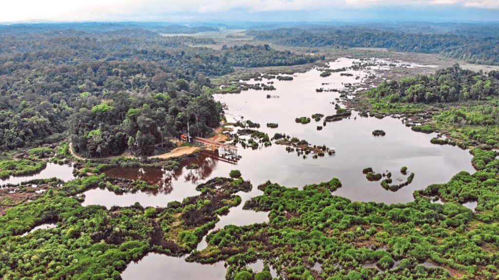 Malaysia daftar tujuh kawasan sebagai Tanah Ramsar | WilayahKu