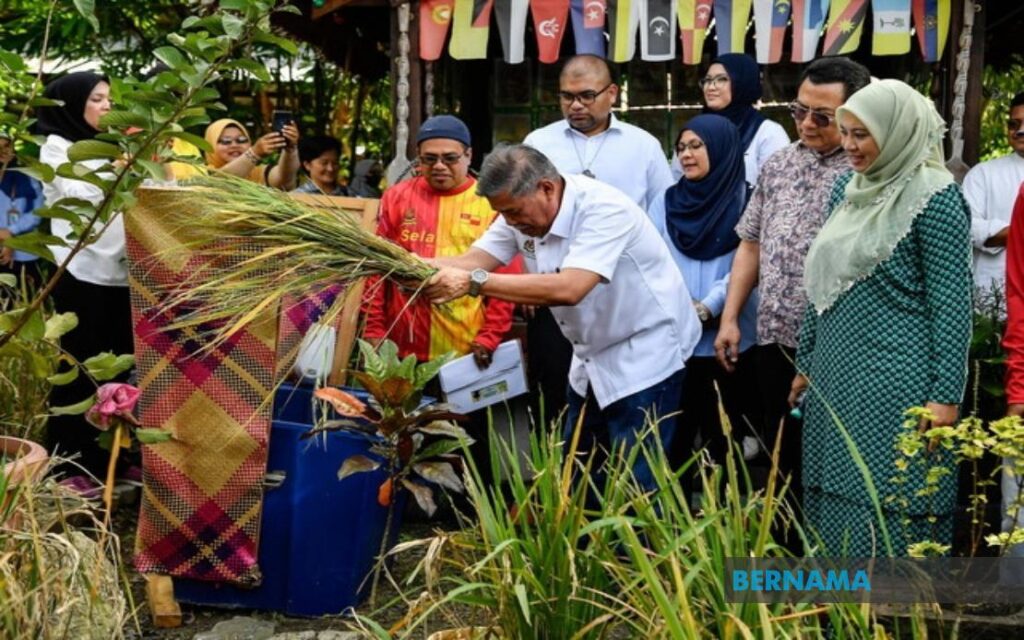 Isu bekalan beras tempatan makin reda tapi belum stabil | WilayahKu