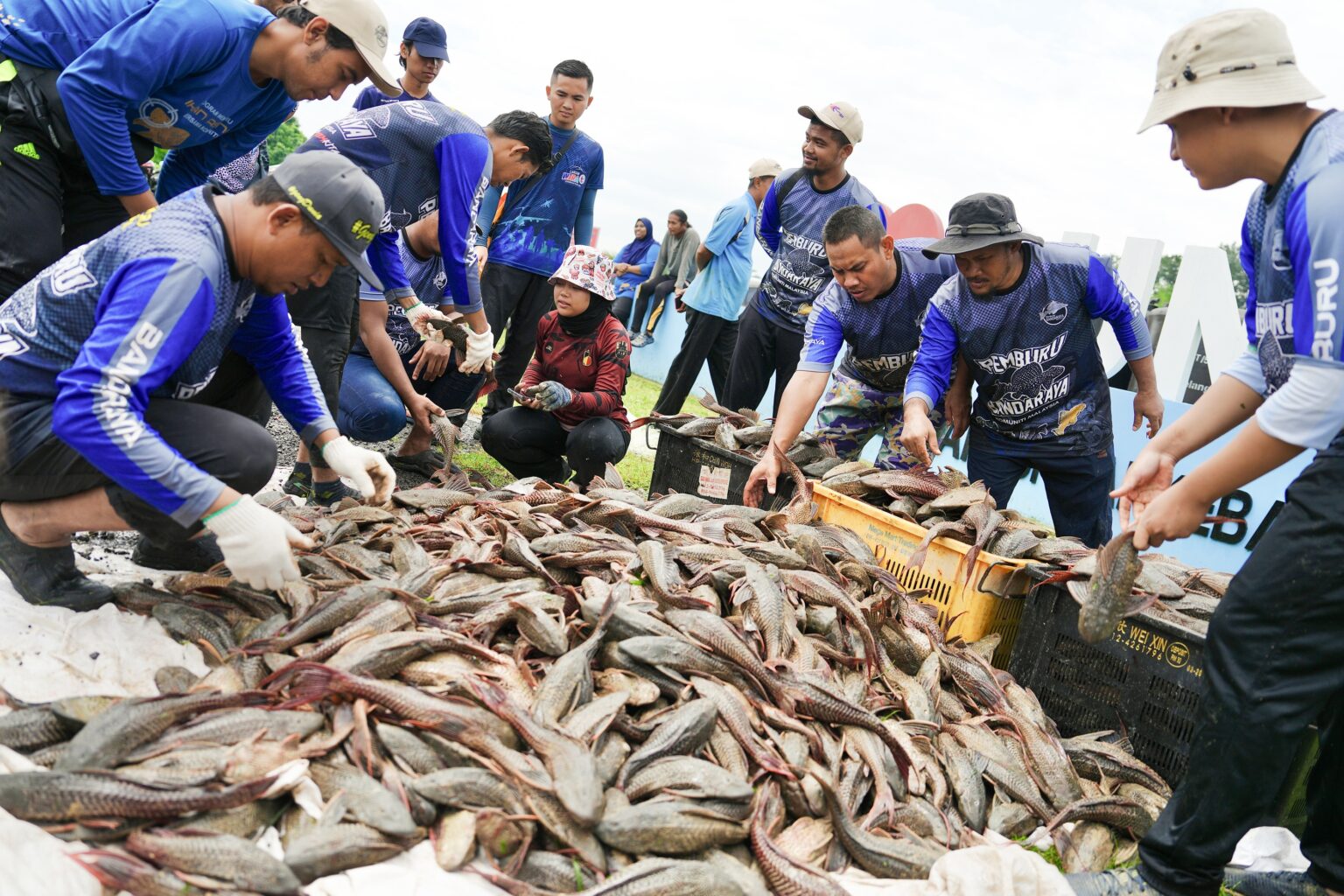 Ikan bandaraya perosak sungai | WilayahKu