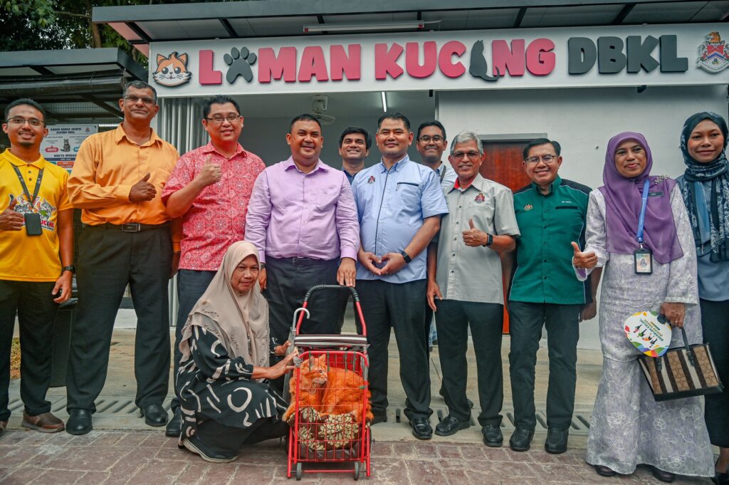 Laman Kucing DBKL jadi tempat perlindungan kucing terbiar | WilayahKu